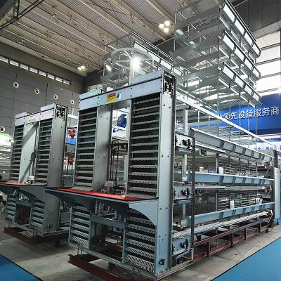 China 25mm 360° Nipples Poultry Farming Equipment with Q235 Egg Layer Cage - 3-8 Tier Systems for 90-384 Birds for sale