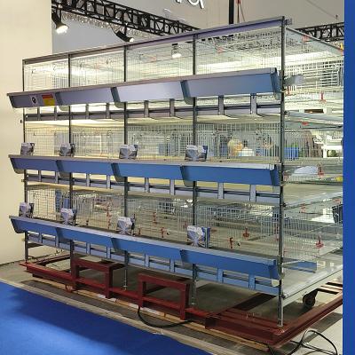 China 3 & 4 Tier Automated Layer Poultry Farming Equipment - H Type Pullet Chicken Cages 850x1250mm with 102-136 Bird Capacity for sale