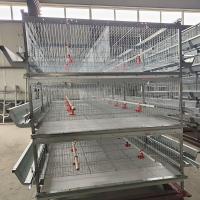 China 3 & 4 Tier Automated Layer Poultry Farming Equipment - H Type Pullet Chicken Cages 850x1250mm with 102-136 Bird Capacity for sale