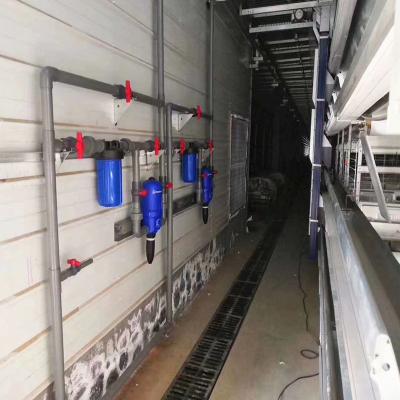 China Hens Farm 2 Nipples Poultry Drinking System with 450x600x410mm Cage Size and Automatic Water Management for sale