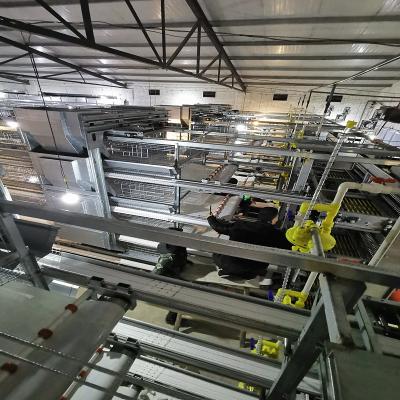 China H Type Broiler Chicken Cage System - 3-8 Tier Configurations with 450cm² Bird Space & Automated Feeding for sale