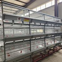 China U-Shaped Galvanized Broiler Poultry Farming Equipment 60-192 Birds Capacity with 25+ Year Lifespan for sale
