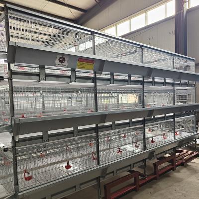 China U-Shaped Galvanized Broiler Poultry Farming Equipment 60-192 Birds Capacity with 25+ Year Lifespan for sale