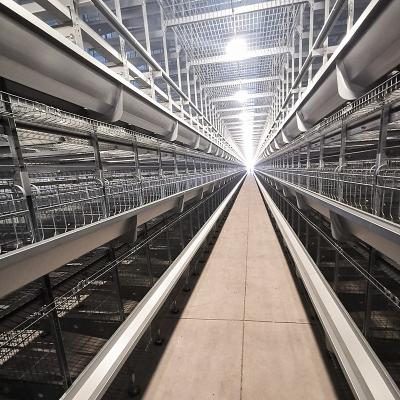 China Q235 Steel Battery Chicken Cages 3-6mm Thickness for Layer Poultry Farming - 90-384 Bird Capacity for sale