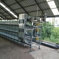 China A Type H Type Layer Chicken Battery Cage System Poultry Layer Breeding Equipment for sale