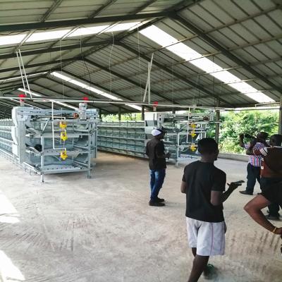 China Automatic Laying Hens 54 Birds Poultry Battery Chicken Cage for Egg Farm for sale