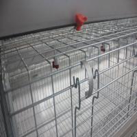 China Galvanized Wire A Type 120 Birds Poultry Battery Chicken Cage For Layers for sale