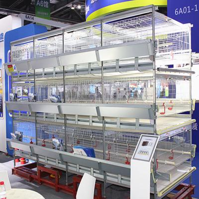 China Automated Broiler Battery Cage System 3-4 Tier 60-200 Bird Capacity Hot-Dip Galvanized Construction for sale