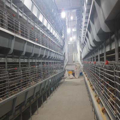 China Galvanized Broiler Battery Chicken Cage 3 Tier 1000x1000x2200 mm Poultry Farm Equipment for Meat Chicken for sale