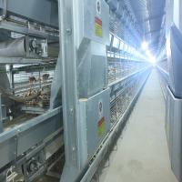 China Galvanized Broiler Battery Chicken Cage Poultry Farm Equipment 3 Tier 60 Birds Capacity for sale