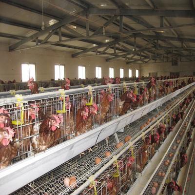 China Stainless Layer Chicken Cage Poultry Farming Hen Cages Feeding System for sale