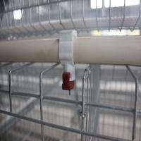 China Hot Galvanized 195x41x41cm 120 Birds Layer Chicken Cage Poultry Farming Equipment for sale