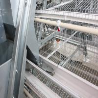 China Full Automatic A Type Laying Chicken Cage 90-160 Birds Set for Africa Poultry Farm for sale