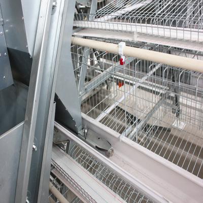 China Full Automatic A Type Laying Chicken Cage 90-160 Birds Set for Africa Poultry Farm for sale