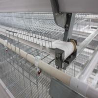 China Full Automatic A Type Laying Chicken Cage 90-160 Birds Set for Africa Poultry Farm for sale