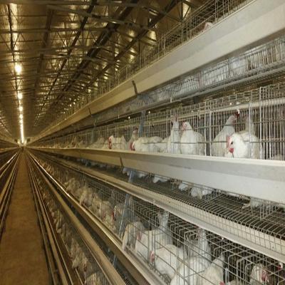 China A Type Poultry Battery Layer Chicken Cage System Hot Galvanized Q235 Steel Wire for sale