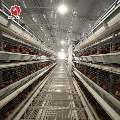 China Automatic H Type Layer Chicken Cage System - 450-650mm Cell Sizes, 144-384 Bird Capacity for Poultry Farming for sale