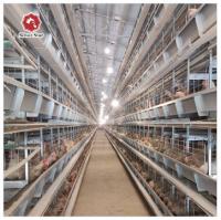 China Hot-dip Galvanized Layer Hen Cage System For Poultry Farming for sale