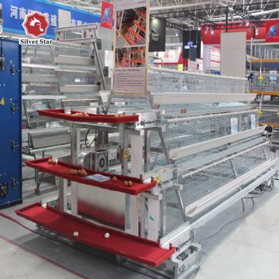 China 120 Chicken Capacity A-Type Battery Cage System | 3-4 Tier Layer Cages | 215×230×150cm Size for sale