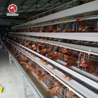 China A Type Full Automatic Battery Chicken Cage Cold Galvanized For Farm for sale