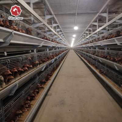 China H Type Broiler Chicken Cage 204 Birds 6 Tiers Hot Galvanized Poultry Equipment for sale