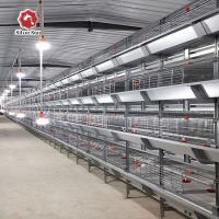 China H Type Poultry Broiler Chicken Cage Baby Chick Cages for sale