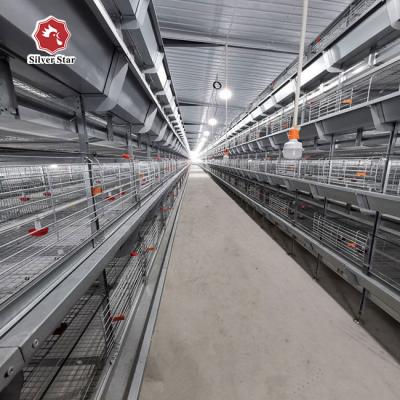 China H Type Poultry Broiler Chicken Cage Baby Chick Cages for sale