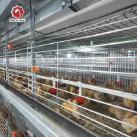 China H Frame 4 Tiers Meat Chicken Broiler Cage 136 Birds Capacity 85x220x325 cm for sale