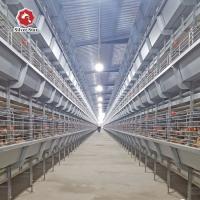 China Full Automatic Hot Dipped Broiler Chicken Cage H Type for sale