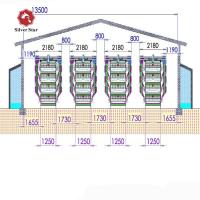 China Full Automatic Hot Dipped Broiler Chicken Cage H Type for sale