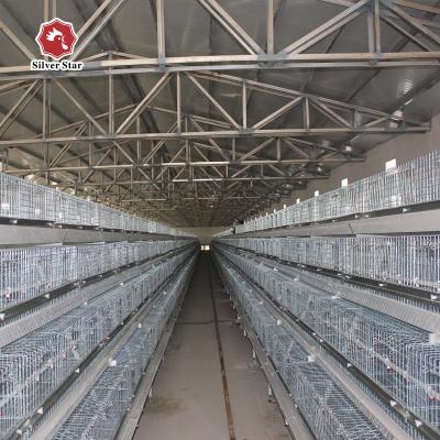 China Q235 Steel Hot Galvanized Baby Chicken Cage 3 Tier 126 Birds Automatic Broiler Battery System for sale