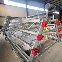 China One Day Old Baby Chick Cage With Full Automatic System for sale