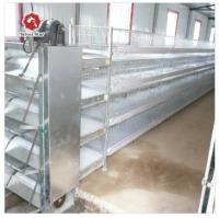 China Hot Dip Galvanized A Type Broiler Chicken Cage 3 Tier Poultry Farm Breeding Equipment for sale