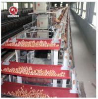 China Long Time A Type Farm Chicken Battery Cages For Layers for sale