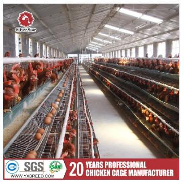 China Customized Multi Layer Poultry Cage Automatic Egg Collection Cages 3 Tiers 126 Chickens for sale