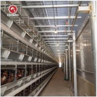 China H Type Chicken Poultry Cage Coops Automatic Battery Cages for sale
