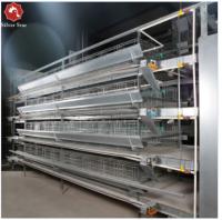 China H Shaped Small Stacked Layer Chicken Cage Can Be Customized for sale