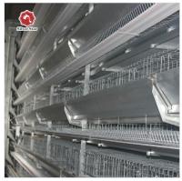 China 6-Layer H-Type Automated Broiler Chicken Cage System with Feeding, Drinking and Manure Removal for sale