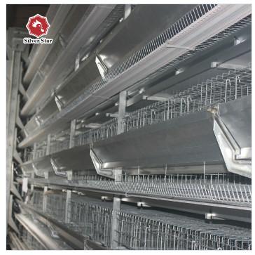 China 6-Layer H-Type Automated Broiler Chicken Cage System with Feeding, Drinking and Manure Removal for sale