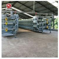 China 3-9 Floor Farm Battery Chicken Cage With Automatic System for sale