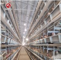 China H Type Chicken Poultry Cage Coops Automatic Battery Cages for sale