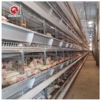 China H Type Chicken Poultry Cage Coops Automatic Battery Cages for sale