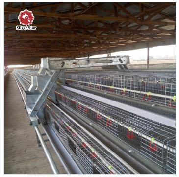 China A Type 90-160 Birds Layer Chicken Cage System 3-4 Tiers Poultry Farming for sale