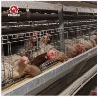 China Automatic Layer Cage System With Ventilation 4 Levels Capacity For 120 Chickens for sale