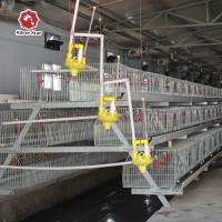 China 3 Tier 180 Chickens Poultry Bird Cage 1.9m x 2.15m x 1.5m for Big Chicken Farm for sale