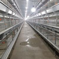 China Automatic H Type Cages Specifically For Baby Poultry Broiler Chickens for sale