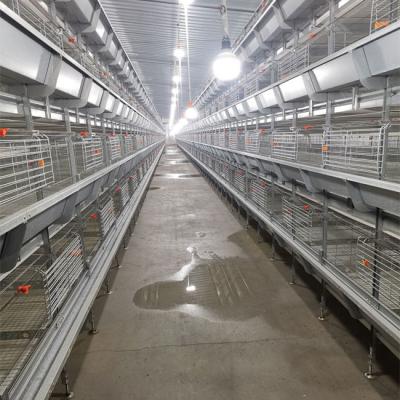 China Hot Dip Galvanized Broiler Chicken Cage 85x62.5x50cm 3-8 Tiers H Type for sale