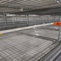 China H Type 3 4 Tiers Broiler Cage Chicken Farm Silver Color 85x220x260cm 102 Birds for sale