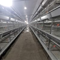 China H Type Broiler Chicken Cage 3 to 8 Tiers 85x62.5x50cm Cell for 1 to 45 Day Old Chicks for sale