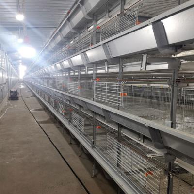 China H Type Broiler Chicken Cage 3 to 8 Tiers 85x62.5x50cm Cell for 1 to 45 Day Old Chicks for sale